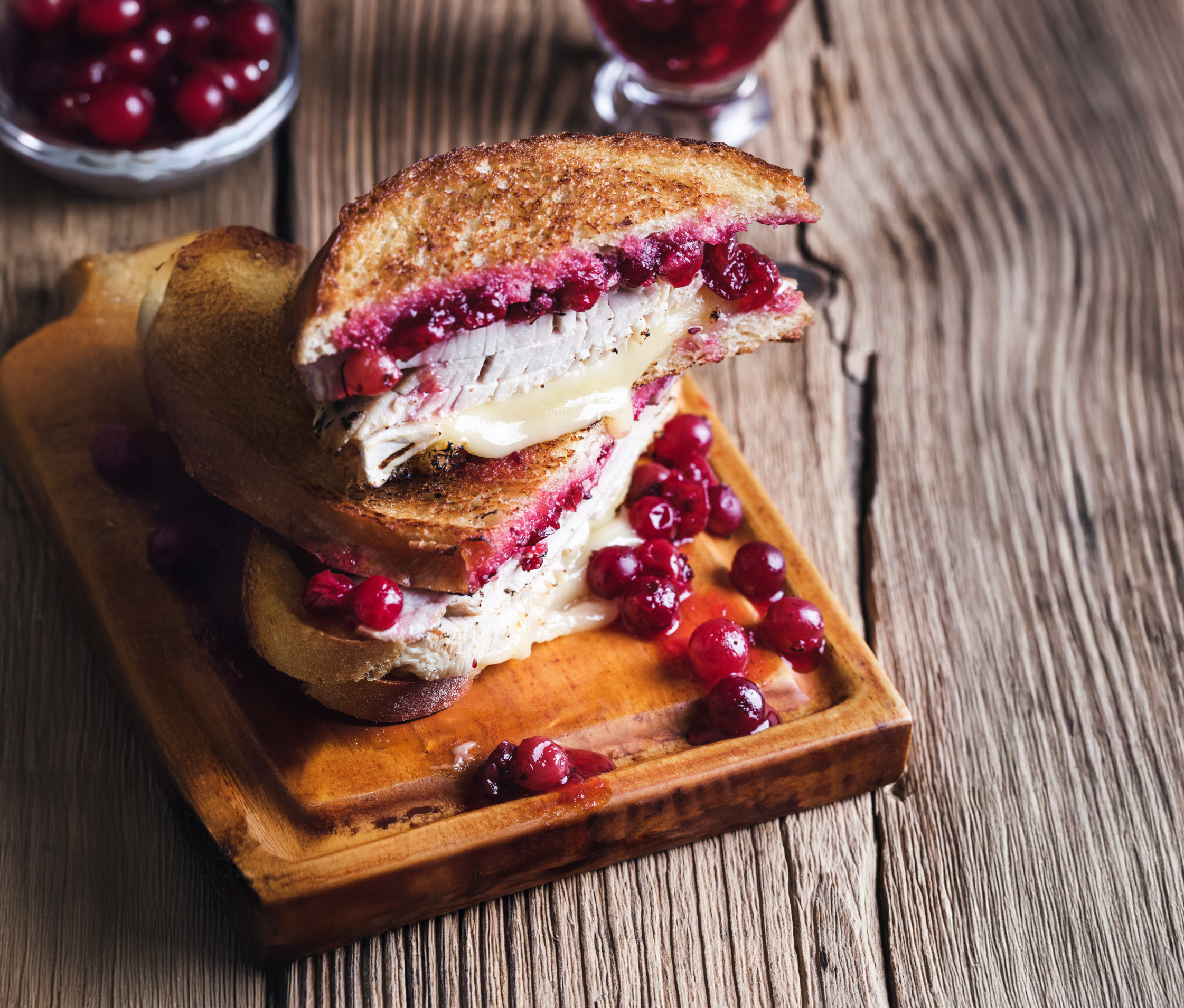 Turkey Cranberry Panini with Taleggio | Borsari Olive Oil & Original ...